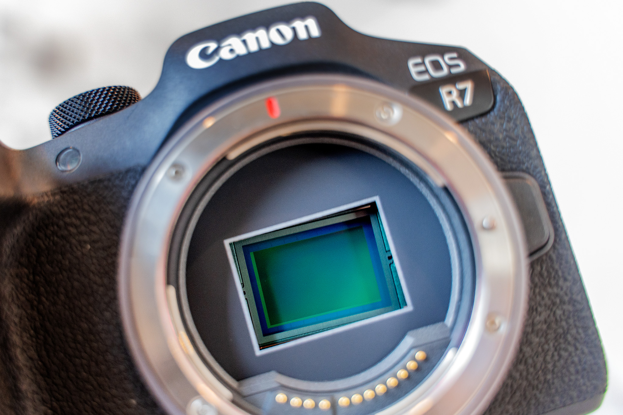 รีวิว เลือกตัวไหนดีระหว่าง Canon EOS R7 กับ Canon EOS R10 มาดูกันเลยให้ ...